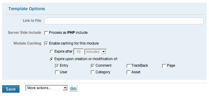 Documentation Template Module Caching 9395